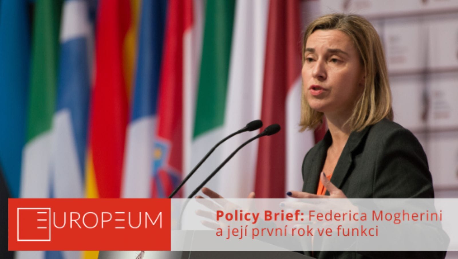 Federica Mogherini and Her First Year as HRVP | Europeum.org